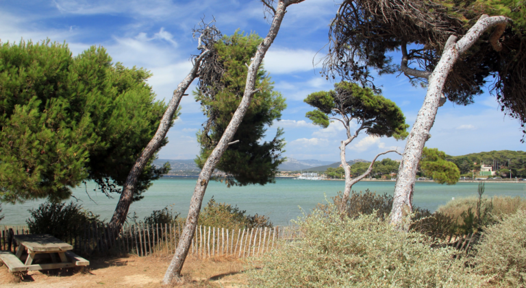 Accueil - Domaine de la Coudoulière
